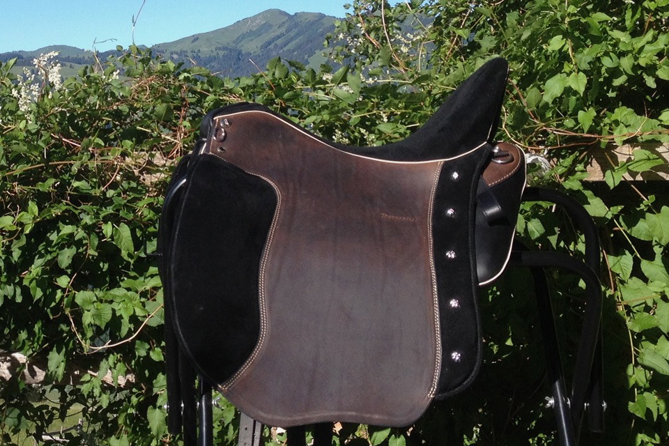 Startseite - Angelika Winzeler - Pferdegerechte Sättel